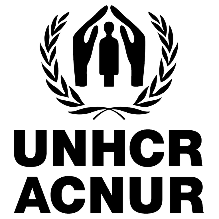 CDHM e ACNUR promovem treinamento em Direito Internacional de ...